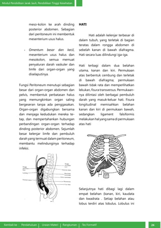 Sistem Pencernaan | PDF