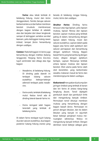 Sistem Pencernaan | PDF