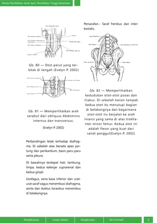 Sistem Otot Kerangka | PDF