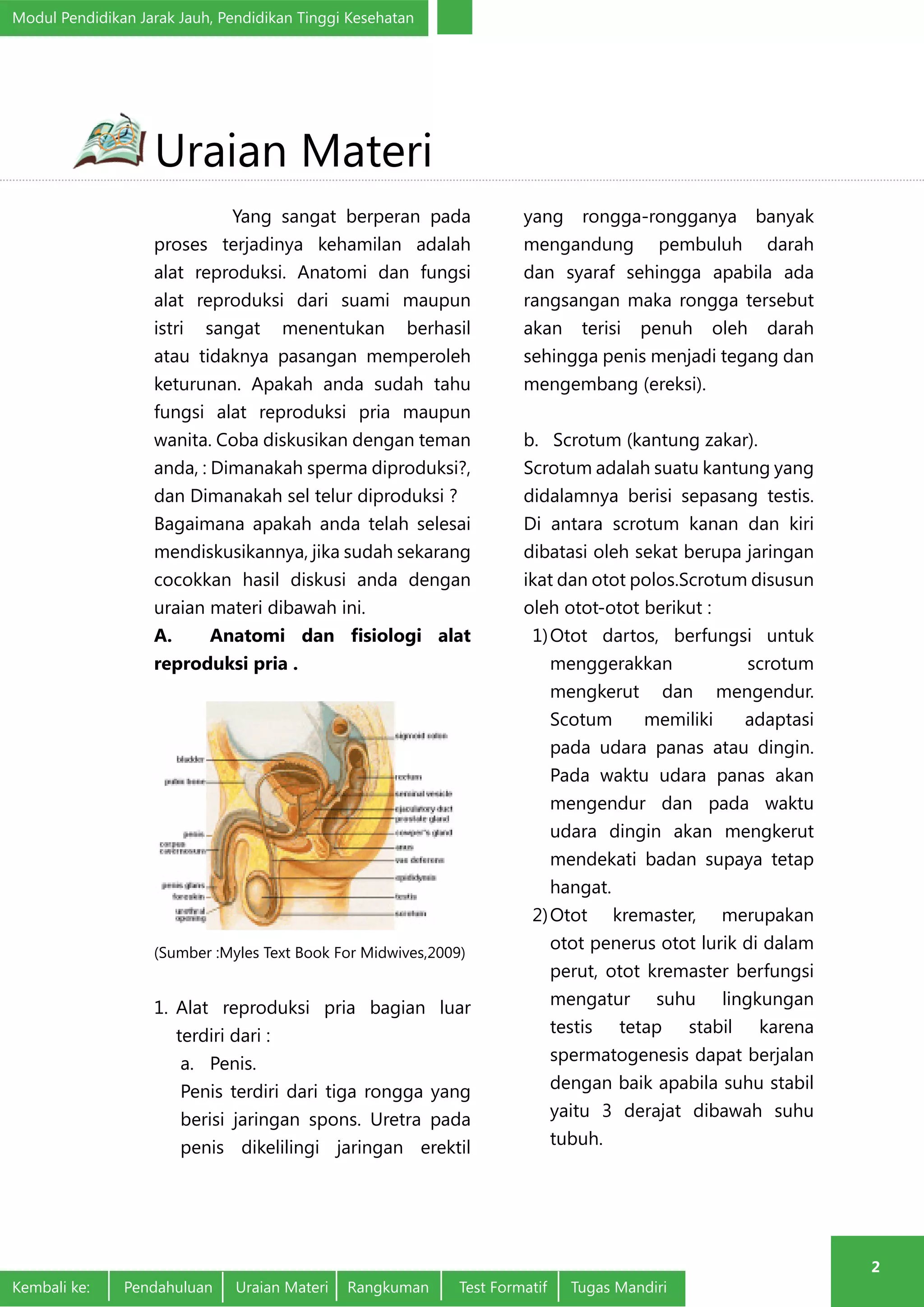 Anatomi dan fisiologi alat reproduksi | PDF