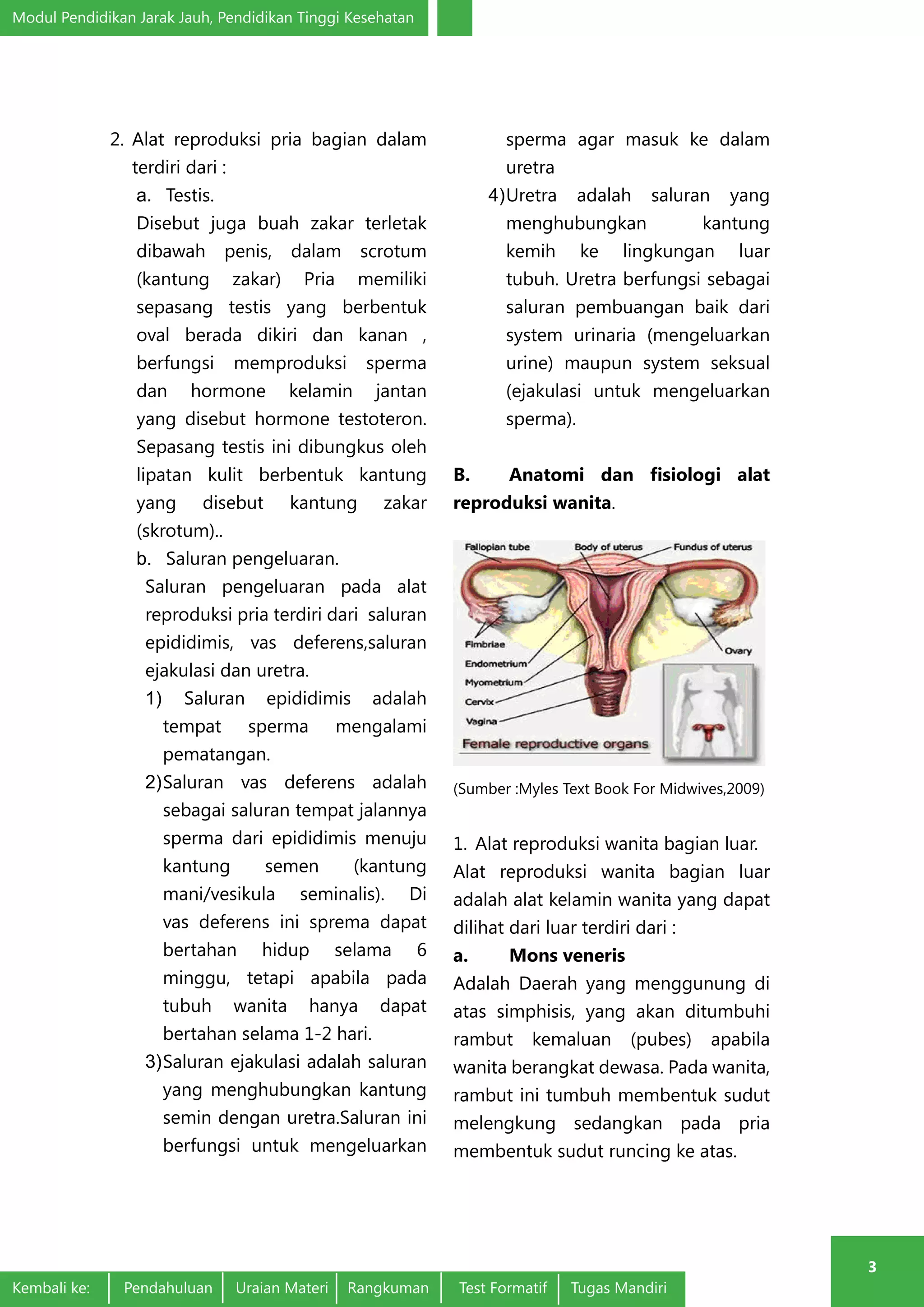Anatomi dan fisiologi alat reproduksi | PDF