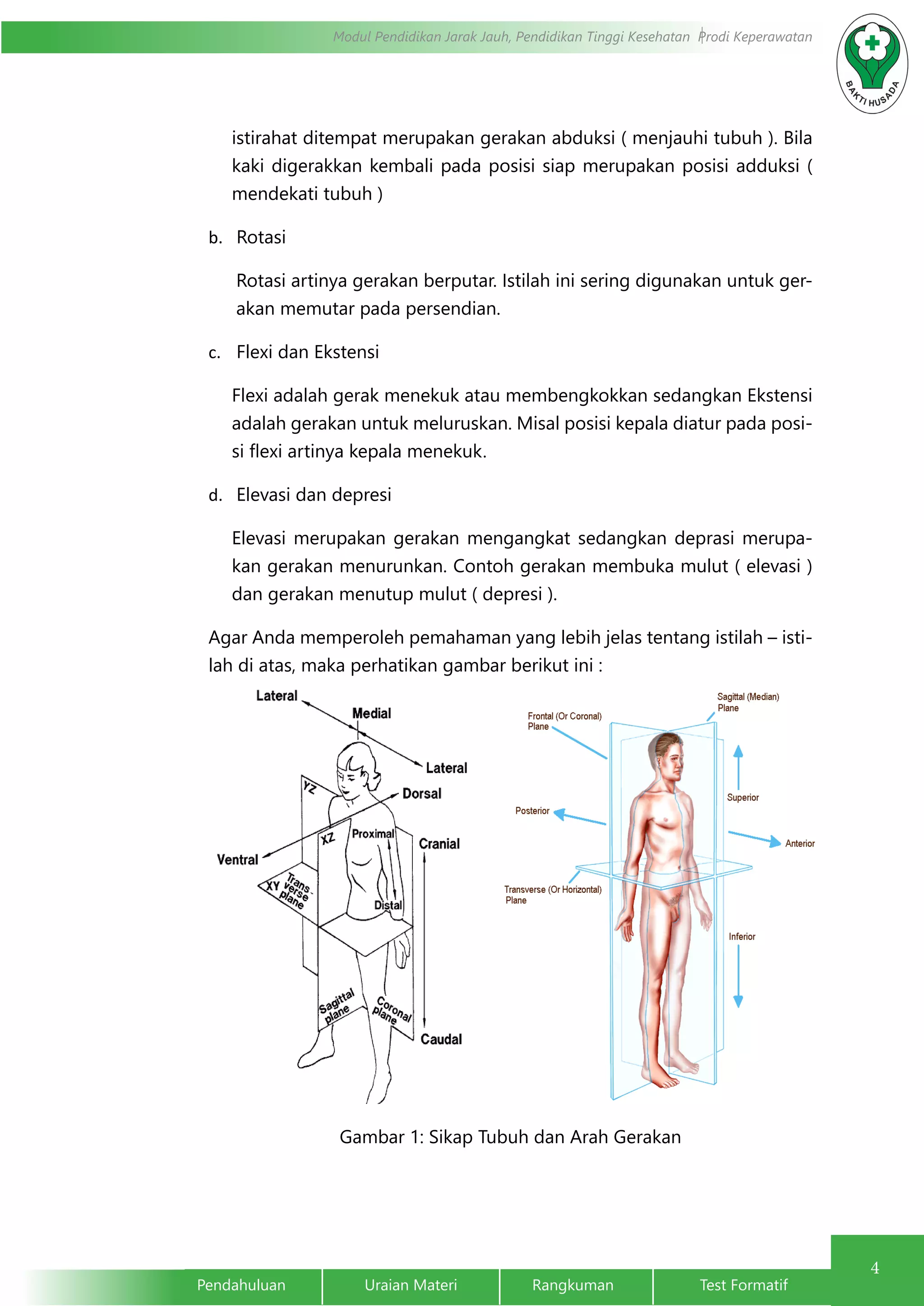 Dasar - Dasar Anatomi | PDF