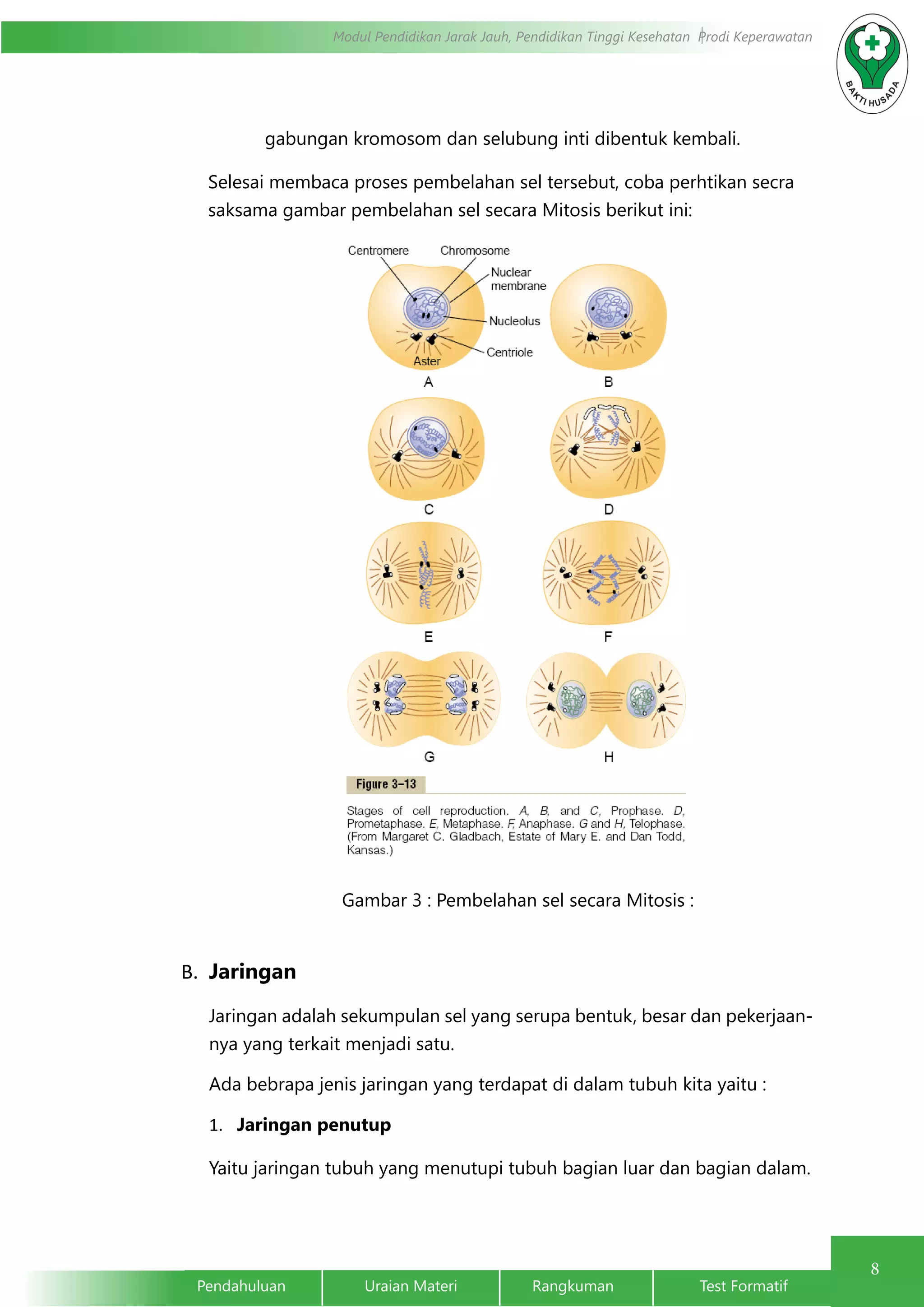 Dasar - Dasar Anatomi | PDF