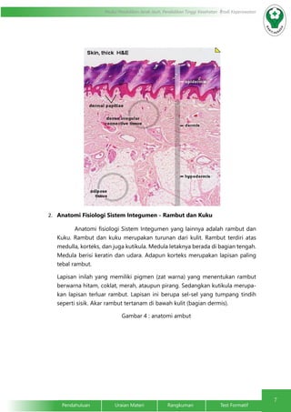 Sistem Integumen dan Muskuloskeletal | PDF