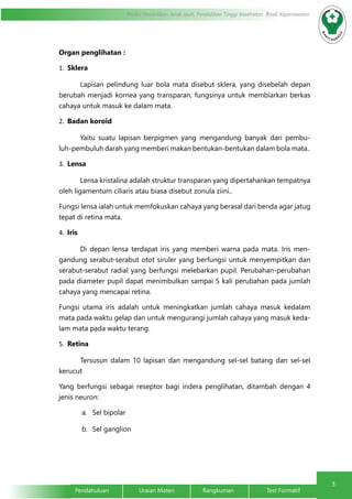 Sistem Penginderaan | PDF