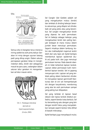Sel dan Jaringan Tubuh | PDF