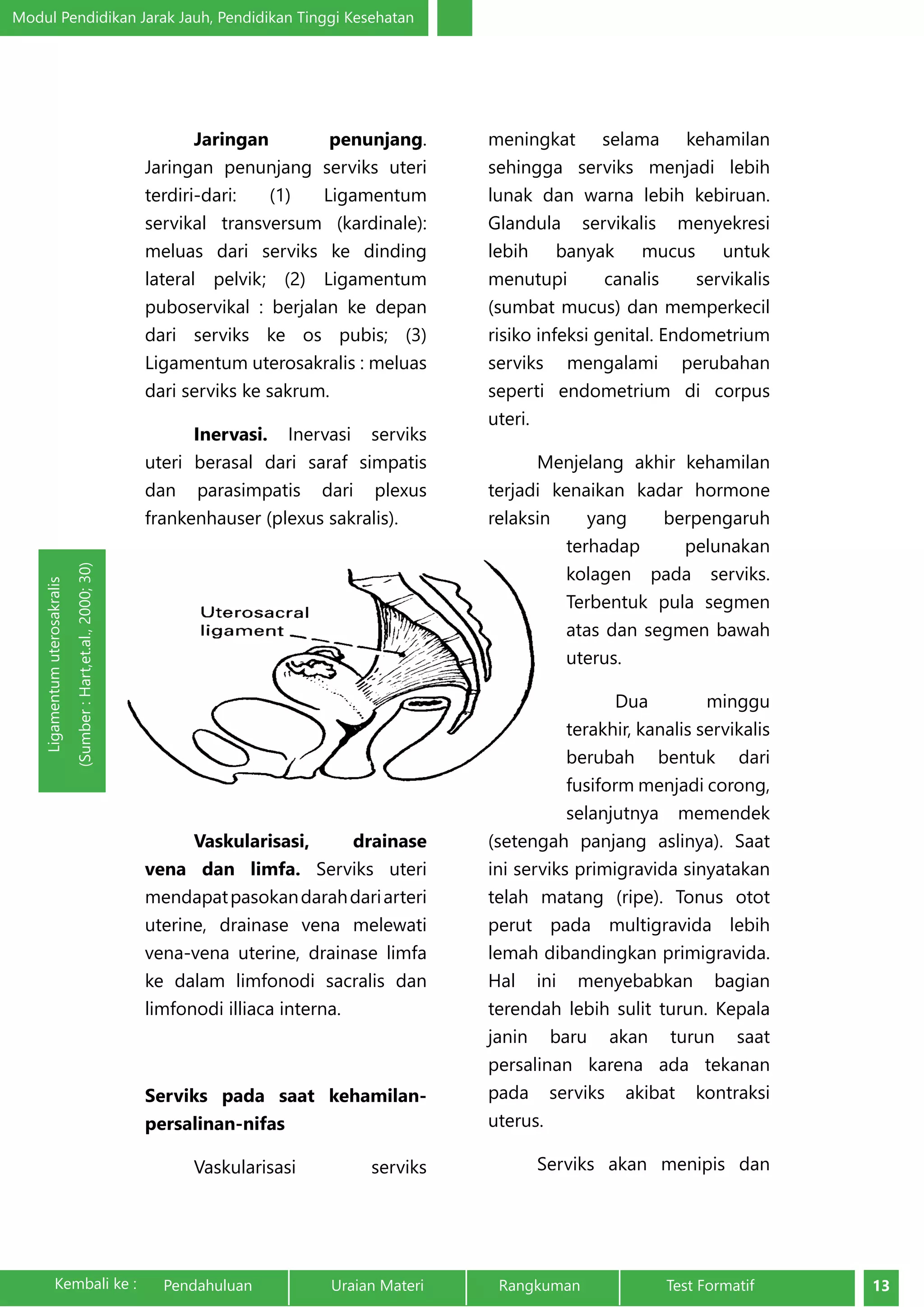 Anatomi Fisiologi Sistem Reproduksi | PDF