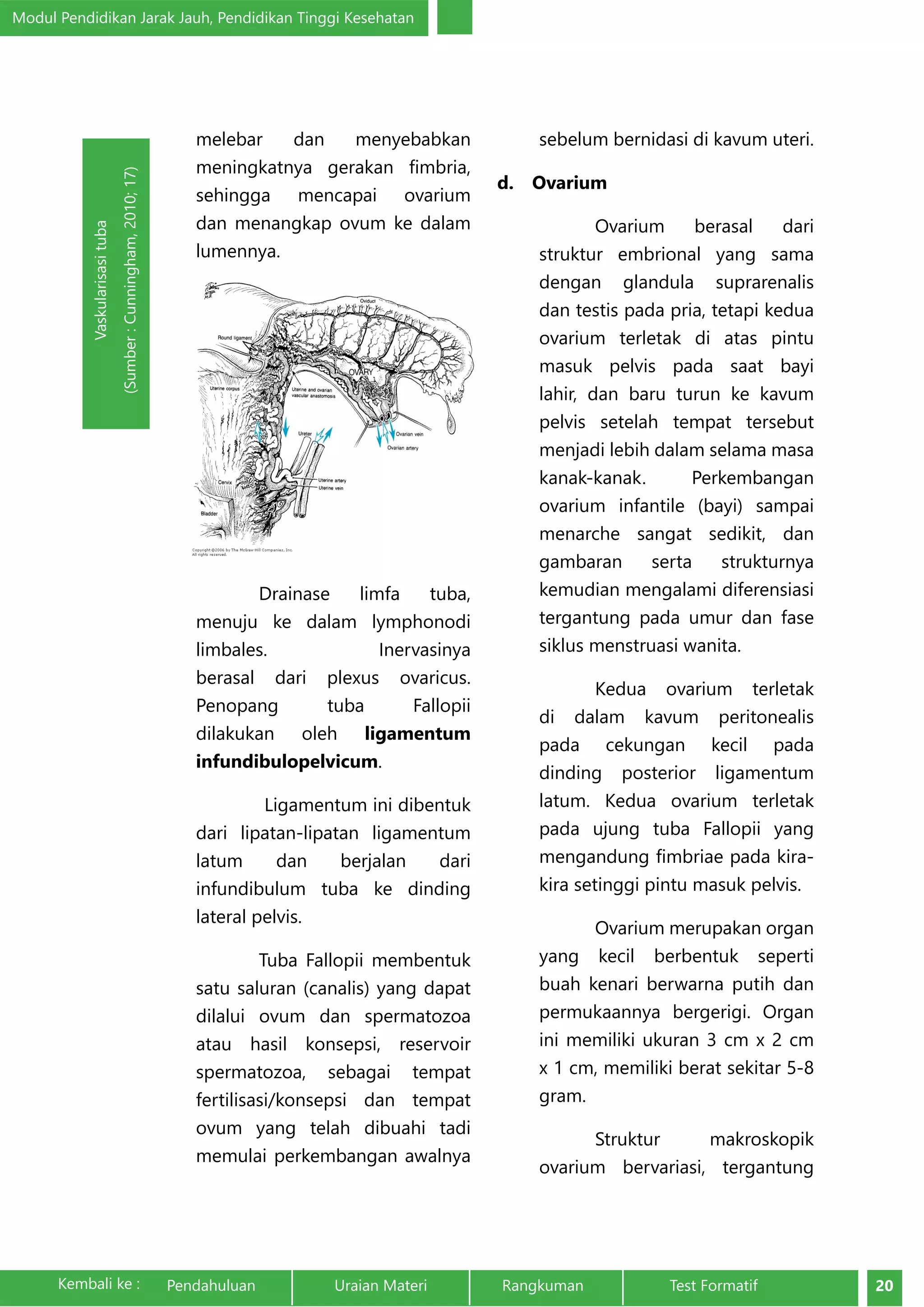 Anatomi Fisiologi Sistem Reproduksi | PDF