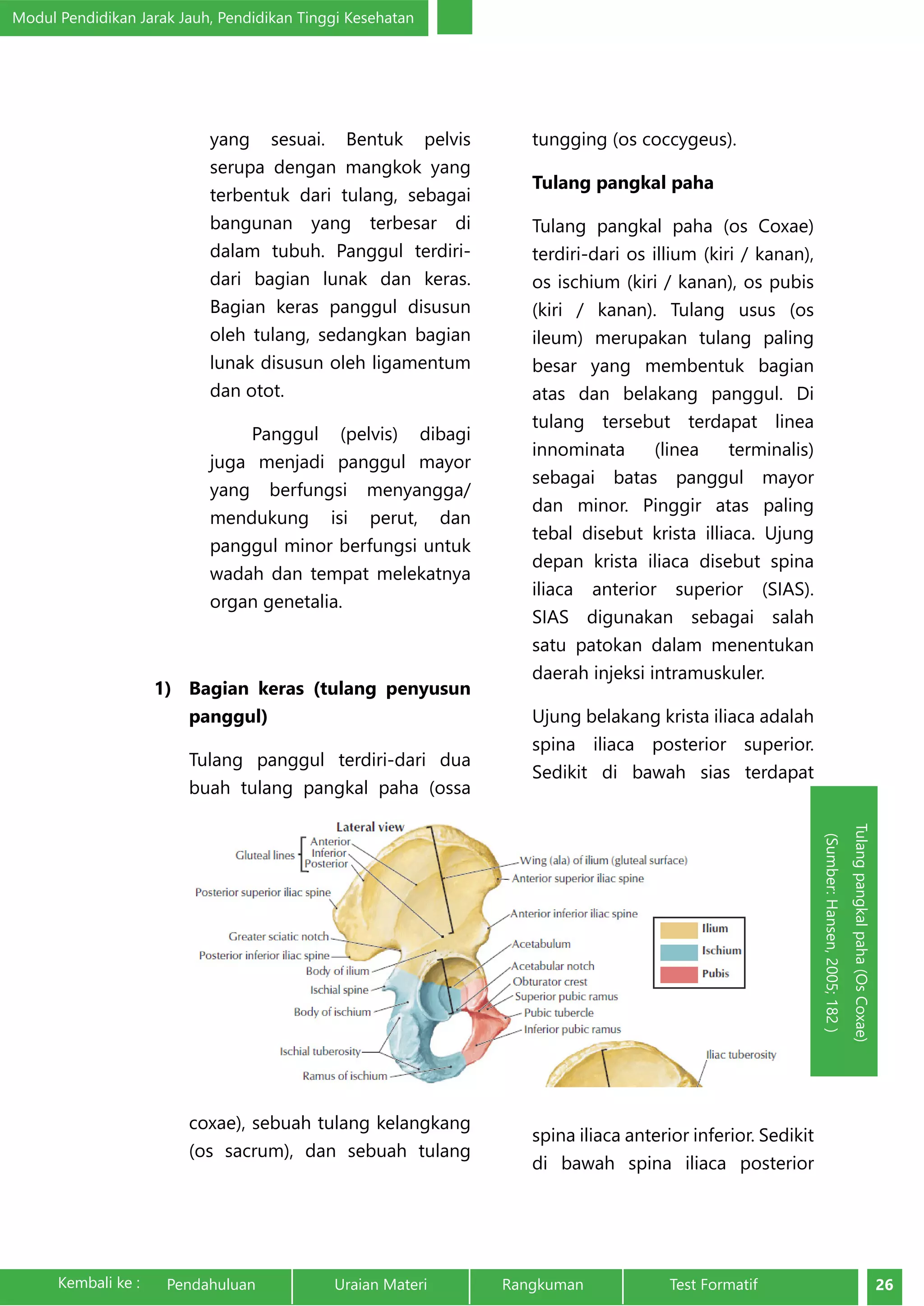 Anatomi Fisiologi Sistem Reproduksi | PDF