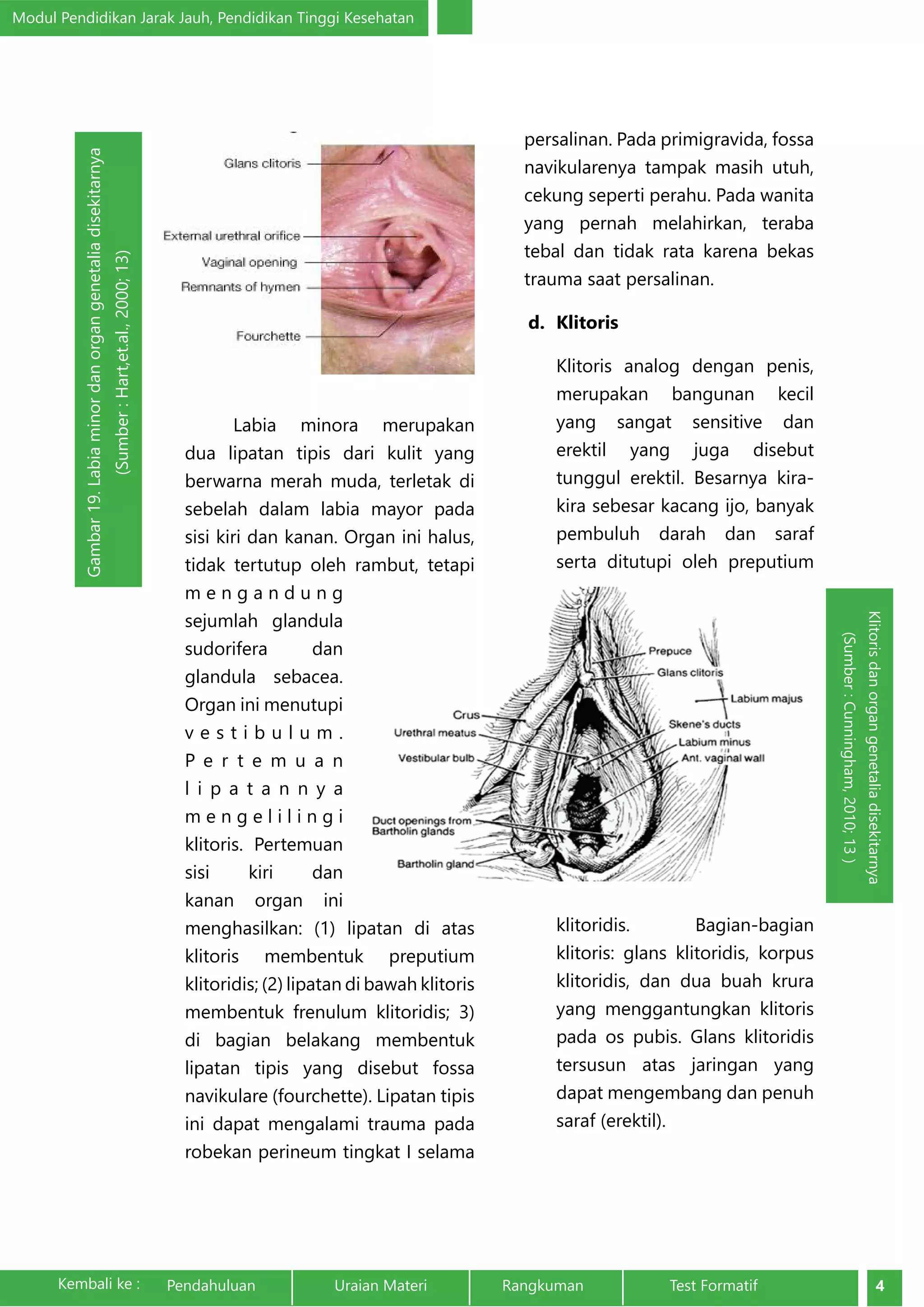 Anatomi Fisiologi Sistem Reproduksi | PDF