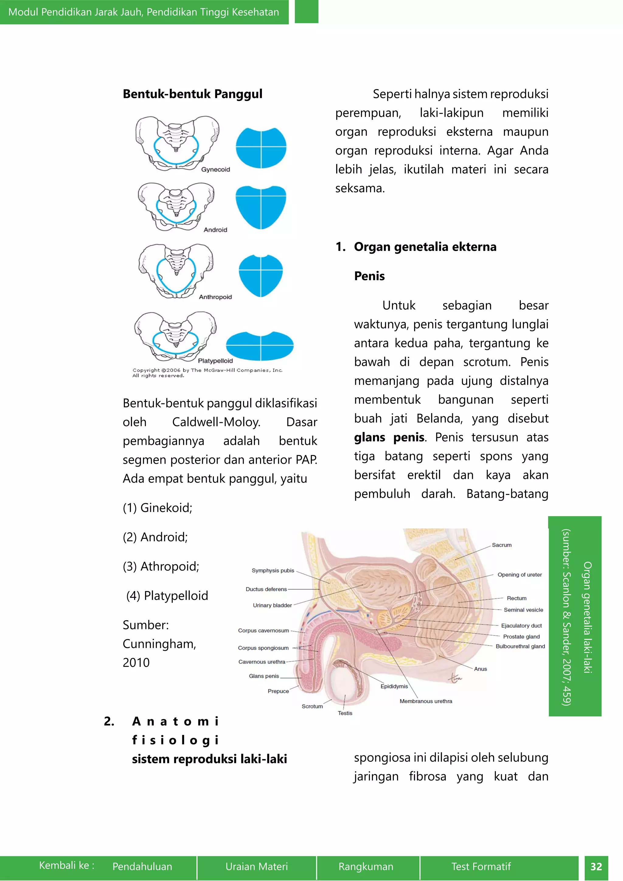 Anatomi Fisiologi Sistem Reproduksi | PDF