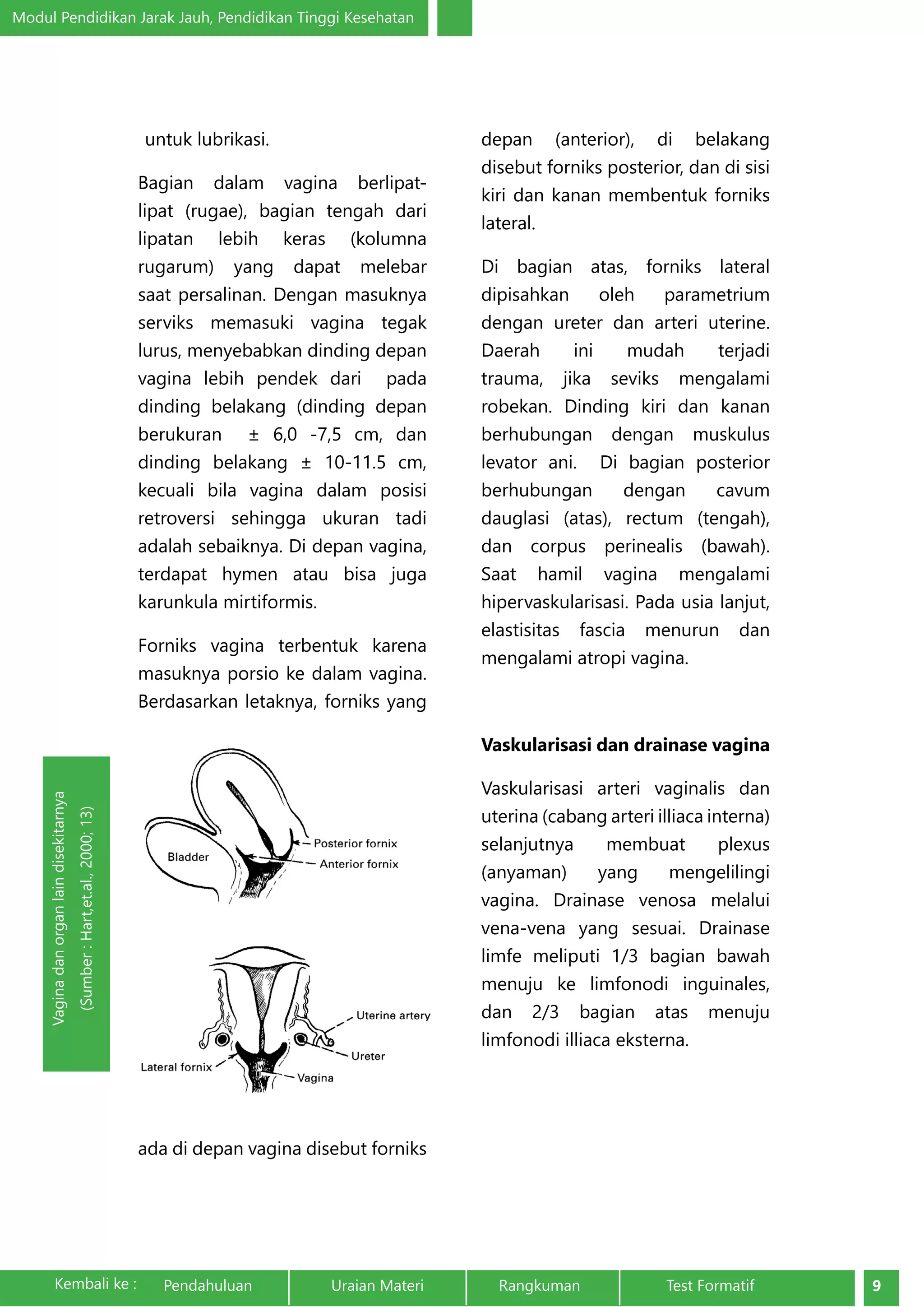 Anatomi Fisiologi Sistem Reproduksi | PDF