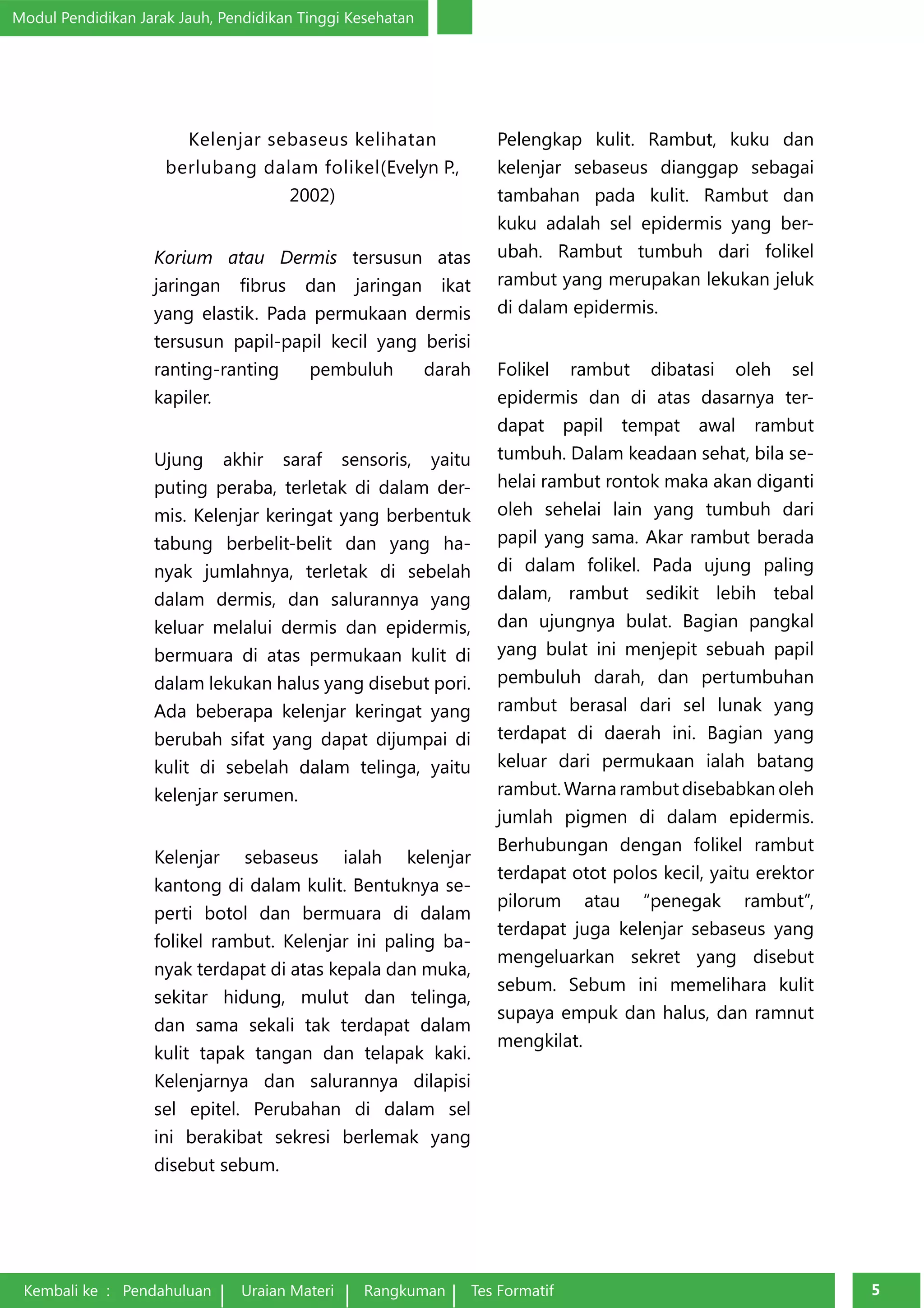 Sistem Integument/Kulit | PDF