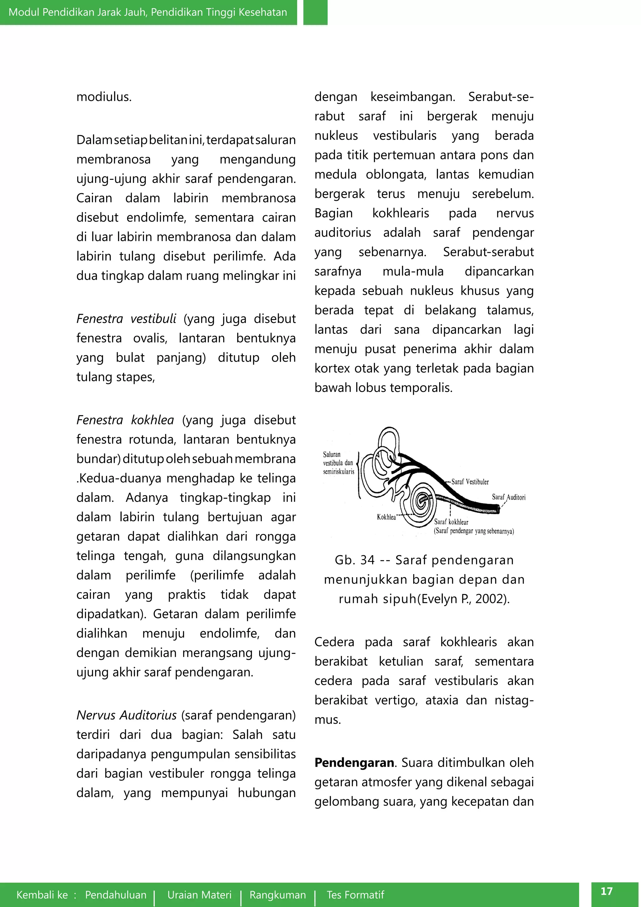 Sistem Pancaindera | PDF