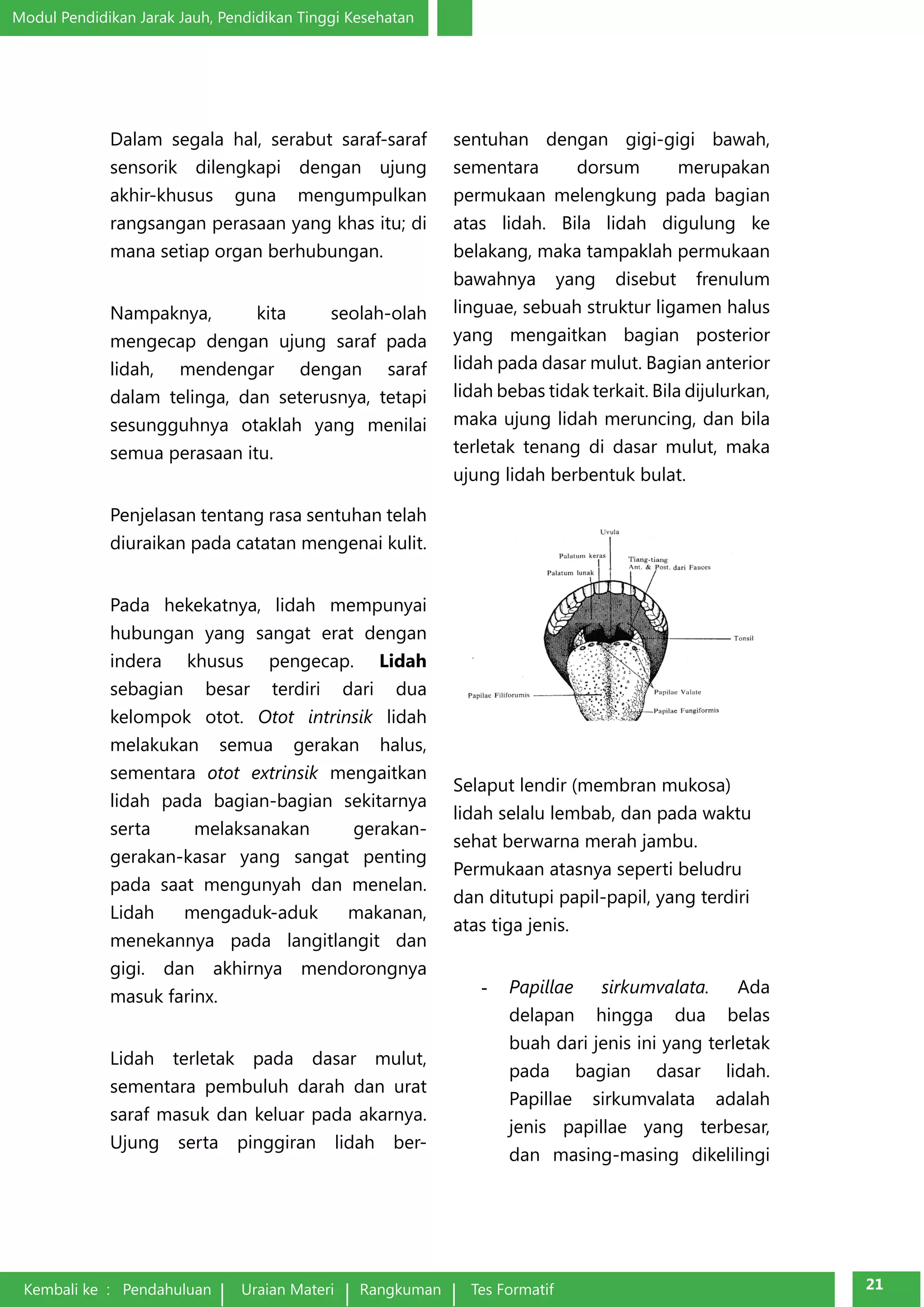 Sistem Pancaindera | PDF