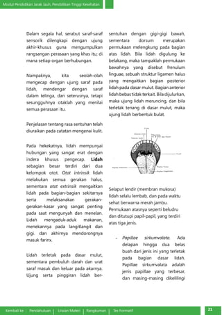 Sistem Pancaindera | PDF