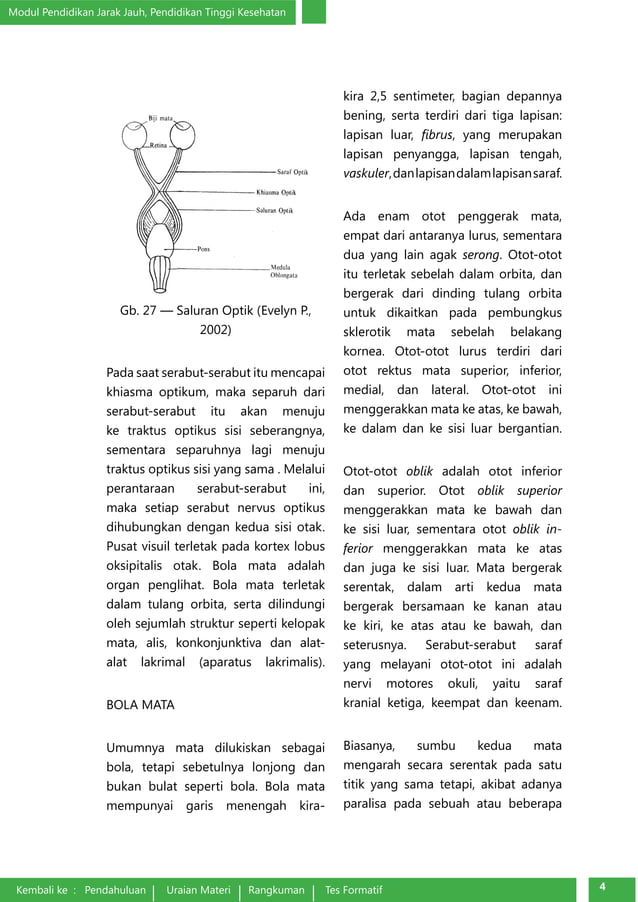 Sistem Pancaindera | PDF