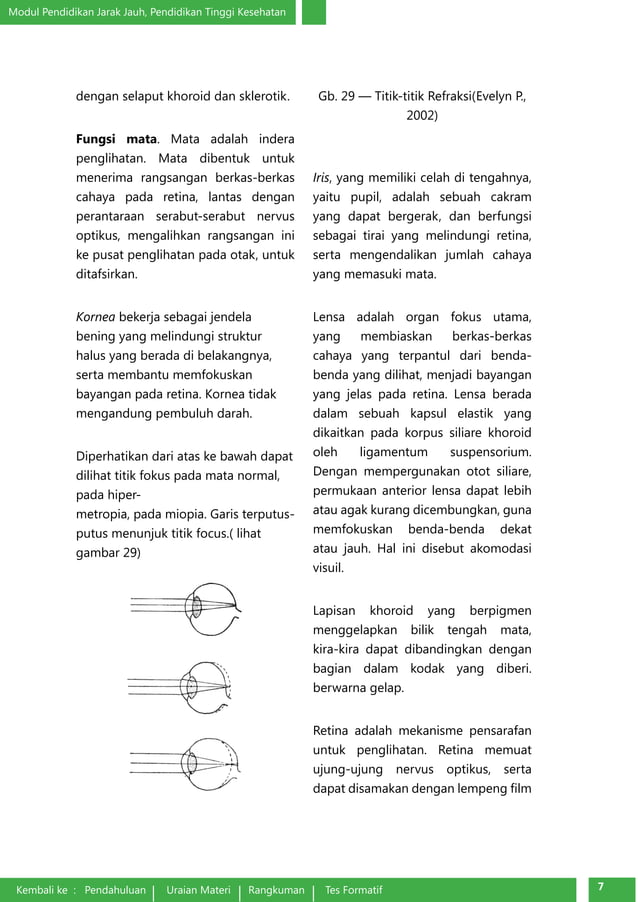 Sistem Pancaindera | PDF