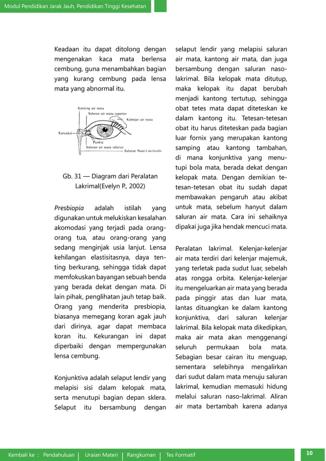Sistem Pancaindera | PDF