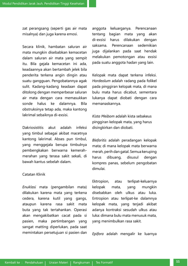 Sistem Pancaindera | PDF