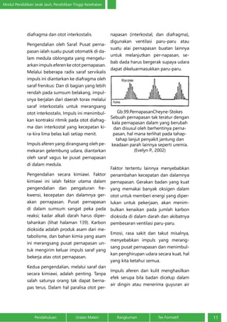 Sistem Pernafasan | PDF
