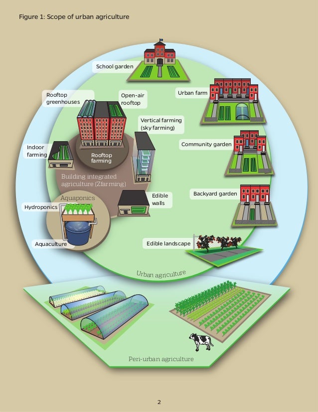 Vacant Lots to Vibrant Plots: A Review of the Benefits and Limitation…