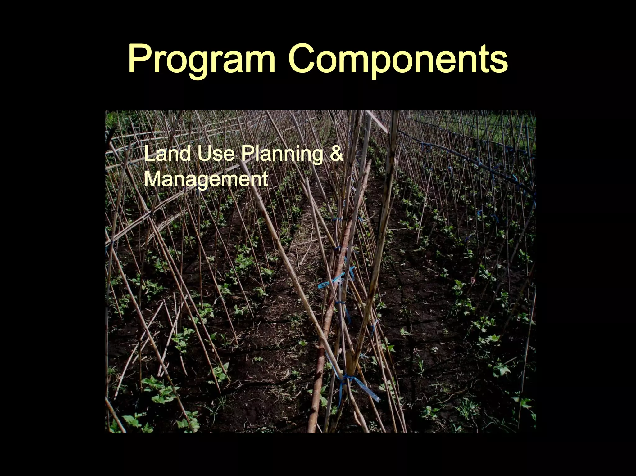 Urban Agriculture in Naga City: Growing Food, Growing Partnerships, Growing Naga | PDF