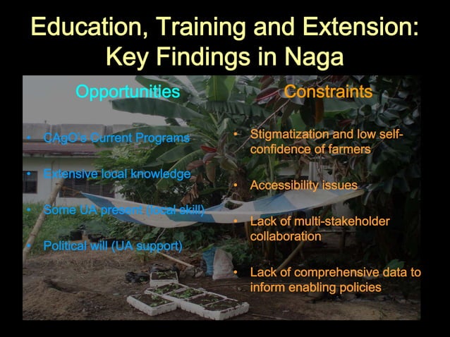 Urban Agriculture in Naga City: Growing Food, Growing Partnerships ...