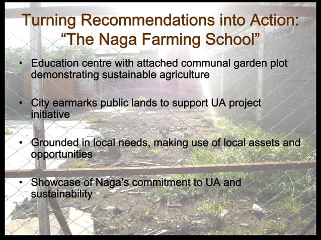 Urban Agriculture in Naga City: Growing Food, Growing Partnerships ...