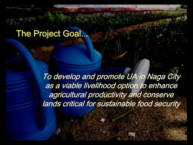 Urban Agriculture in Naga City: Growing Food, Growing Partnerships ...