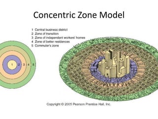 Urban areas-composition-presentation | PPT
