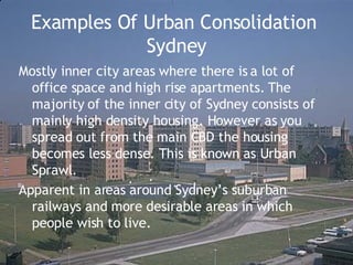 Urban Consolidation By Silliam Wackett And Sam Mangelsdorf | PPT