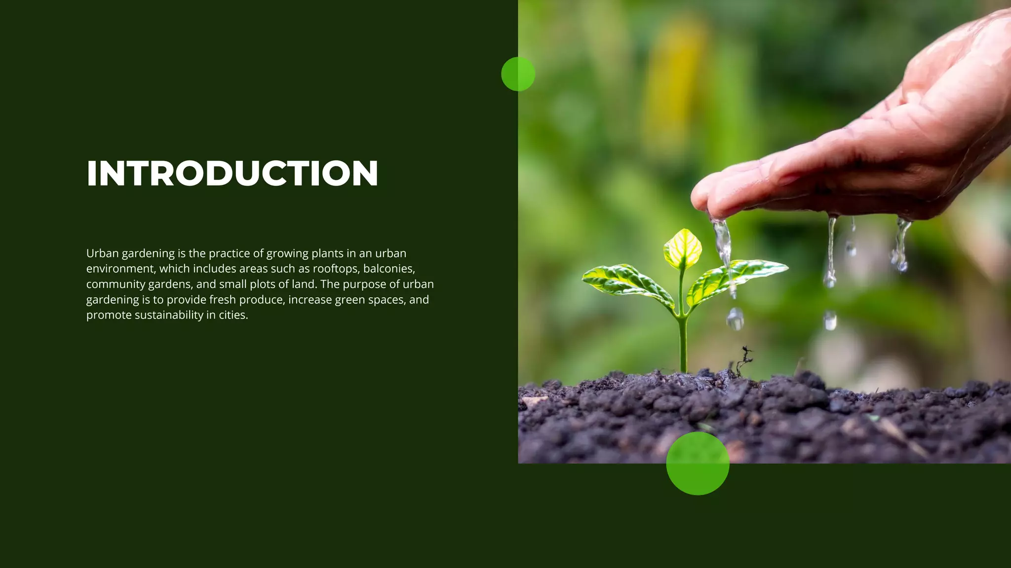 Urban-Gardening-Presentation.pptx