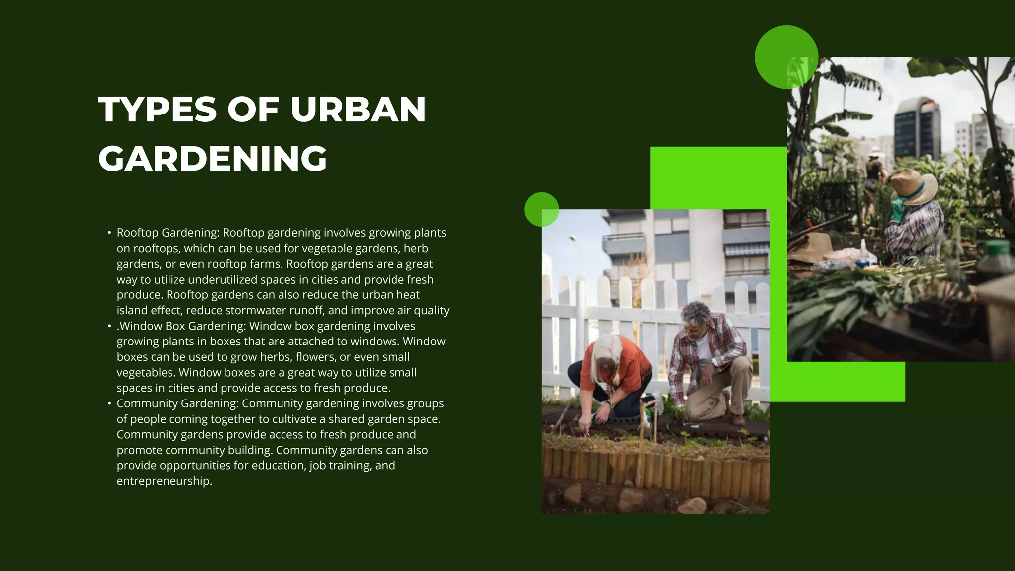 Urban-Gardening-Presentation.pptx