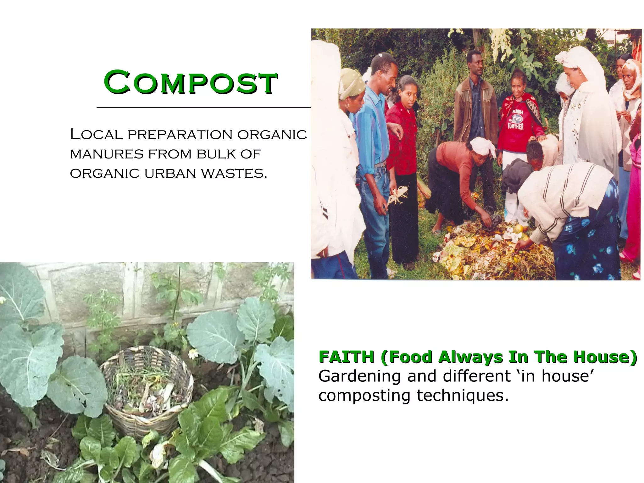 Urban agriculture and climate change enda ethiopia | PPT