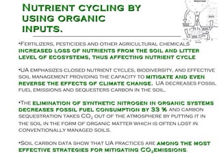 Urban agriculture and climate change enda ethiopia | PPT