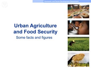 Urban Agriculture and Food Security - Some Facts and Figures | PPT