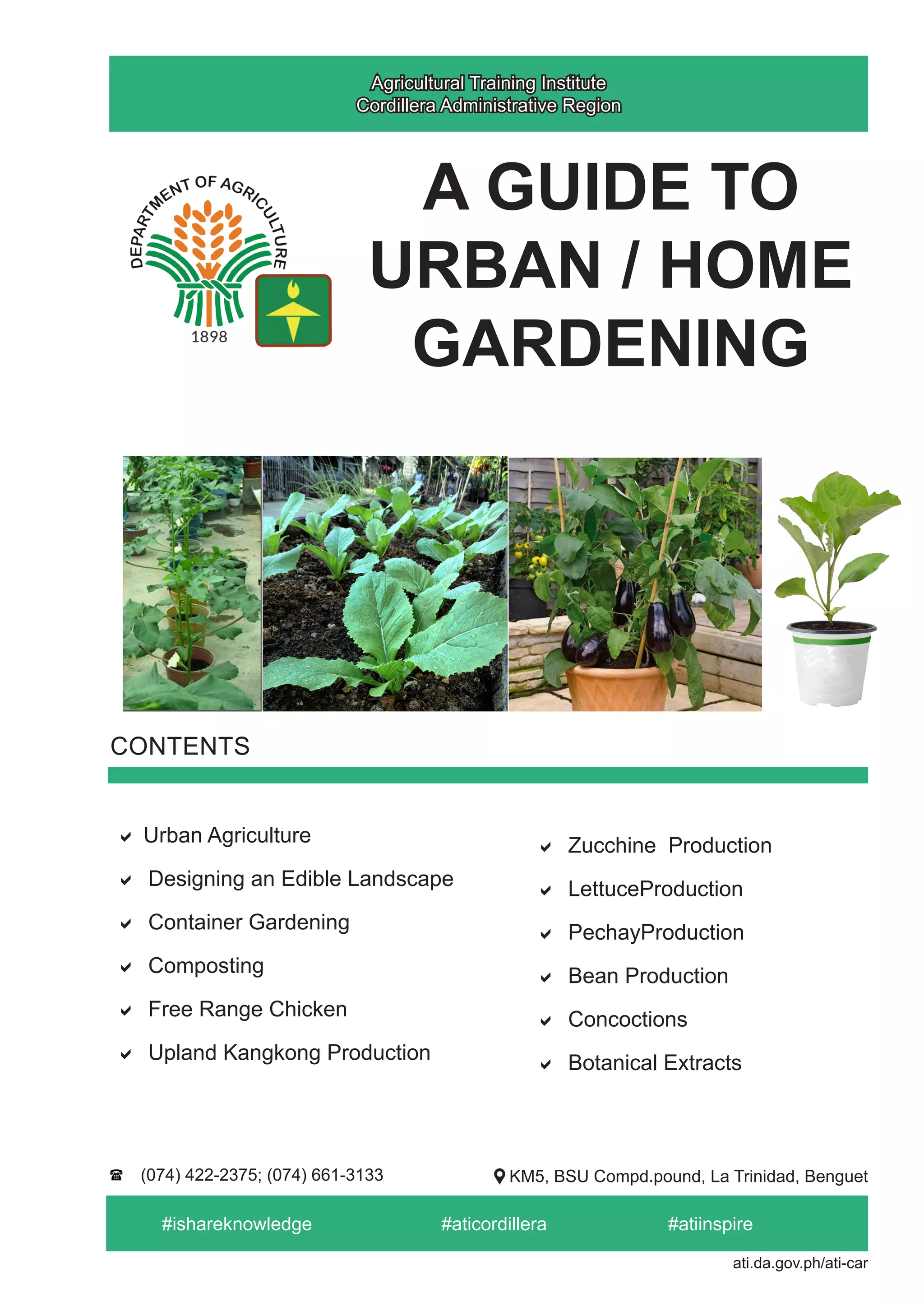 Basic Urban Gardening | PDF
