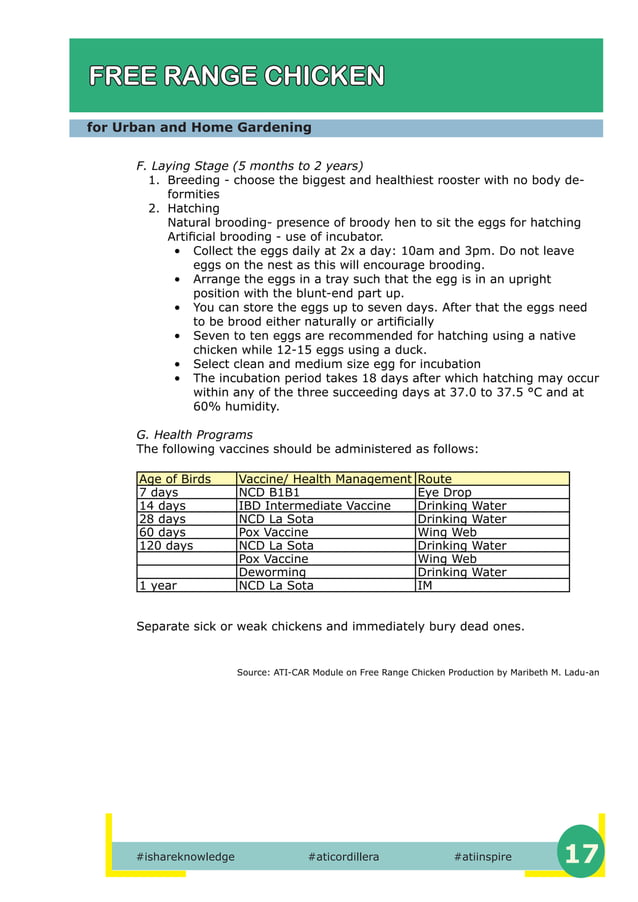 Basic Urban Gardening | PDF