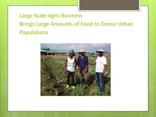 Urban agriculture presentation (2) | PPTX