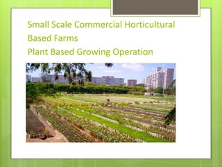 Urban agriculture presentation (2) | PPTX