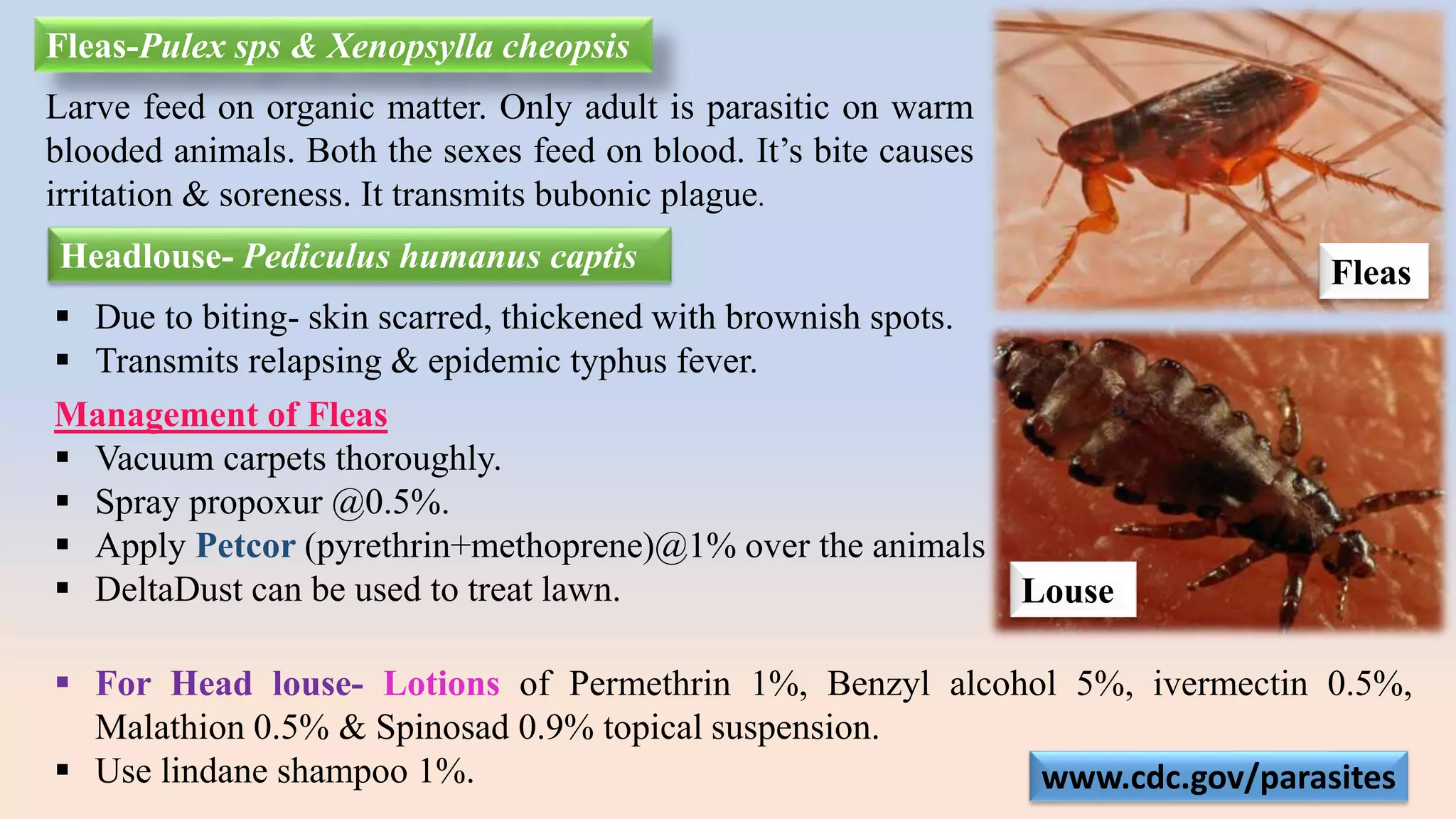 Urban and Household Pests Management.pptx