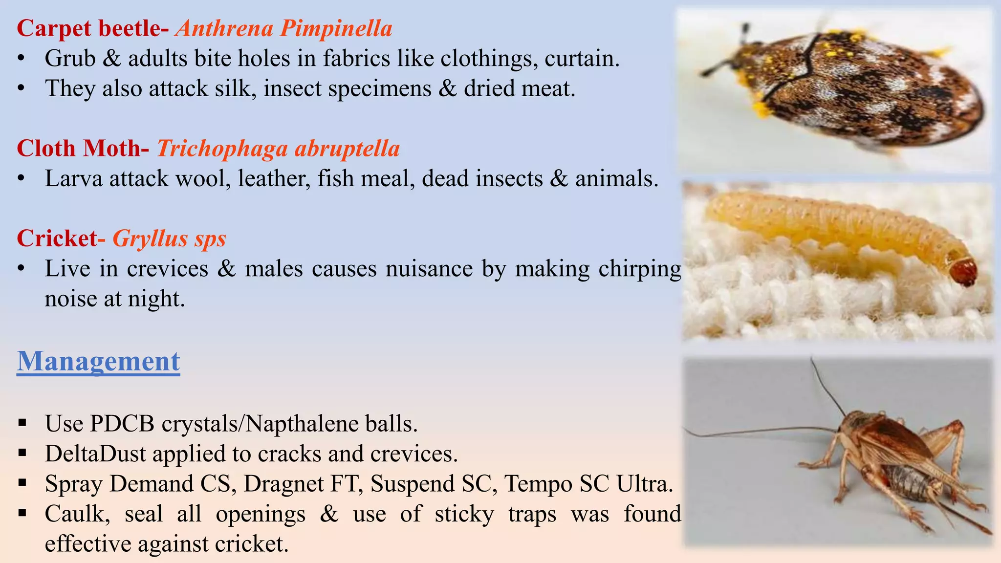 Urban and Household Pests Management.pptx