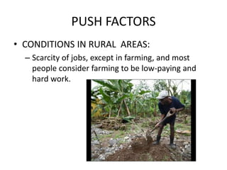 Urban and rural areas | PPTX