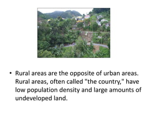 Urban and rural areas | PPTX