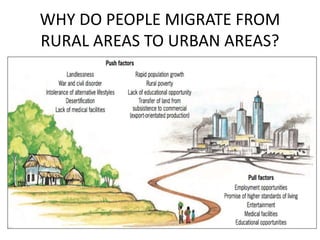 Urban and rural areas | PPTX