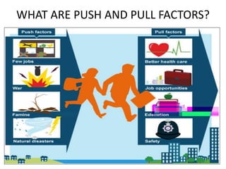 Urban and rural areas | PPTX