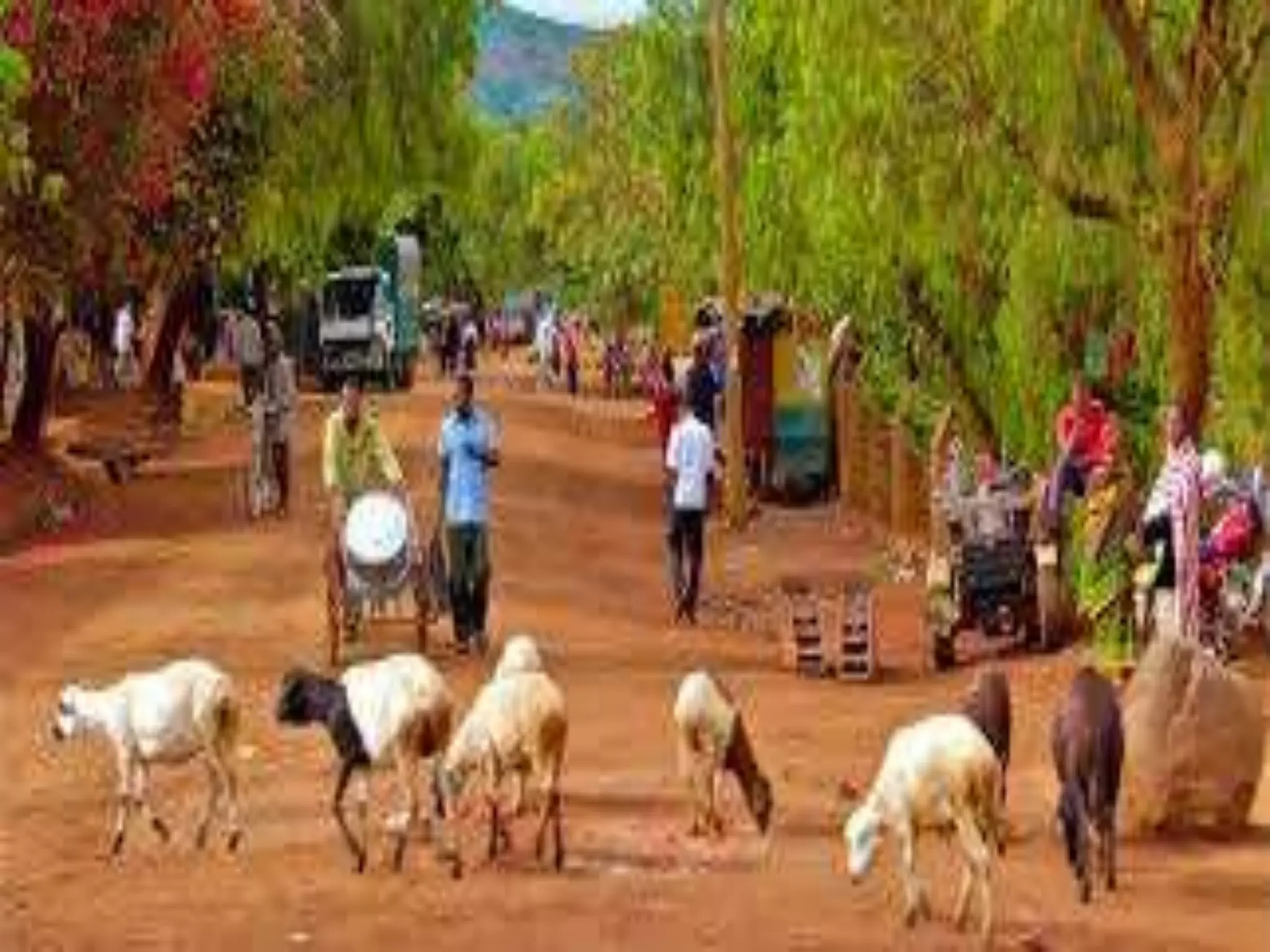 Urban at Rural na komunidad | PPTX