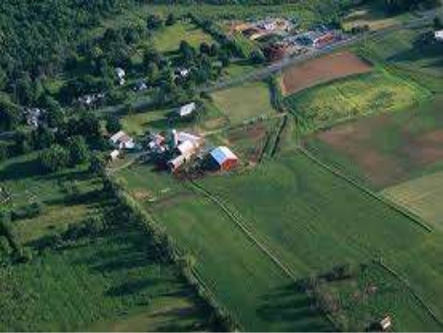 Urban at Rural na komunidad