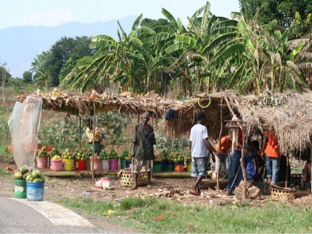 Urban at Rural na komunidad